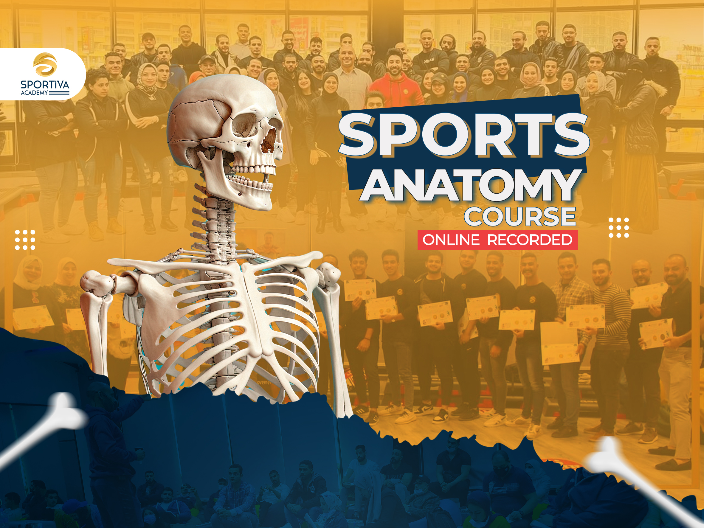 Sports Anatomy | SPORTiVA Academy
